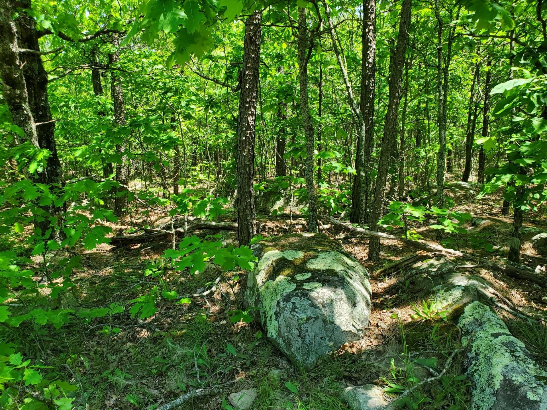 50.53 acres in Pushmataha County, Oklahoma