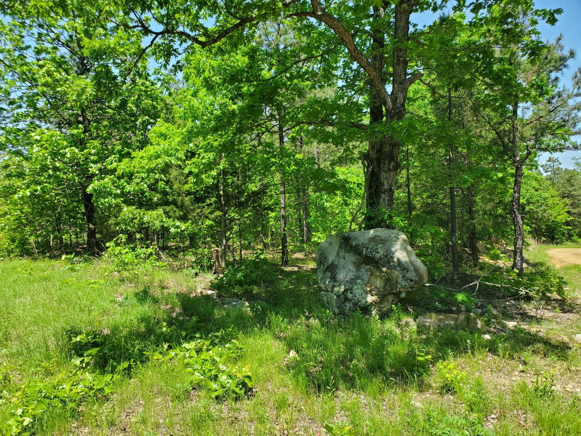 41.18 acres in Pushmataha County, Oklahoma