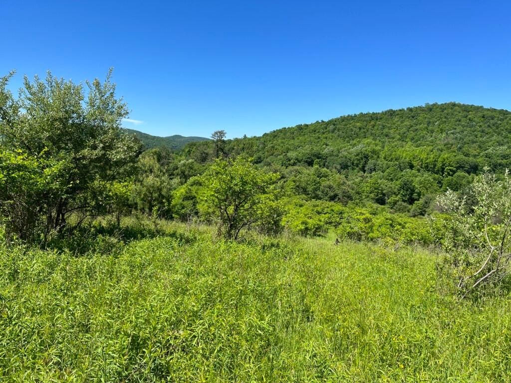 23 acres in Allegany County, New York