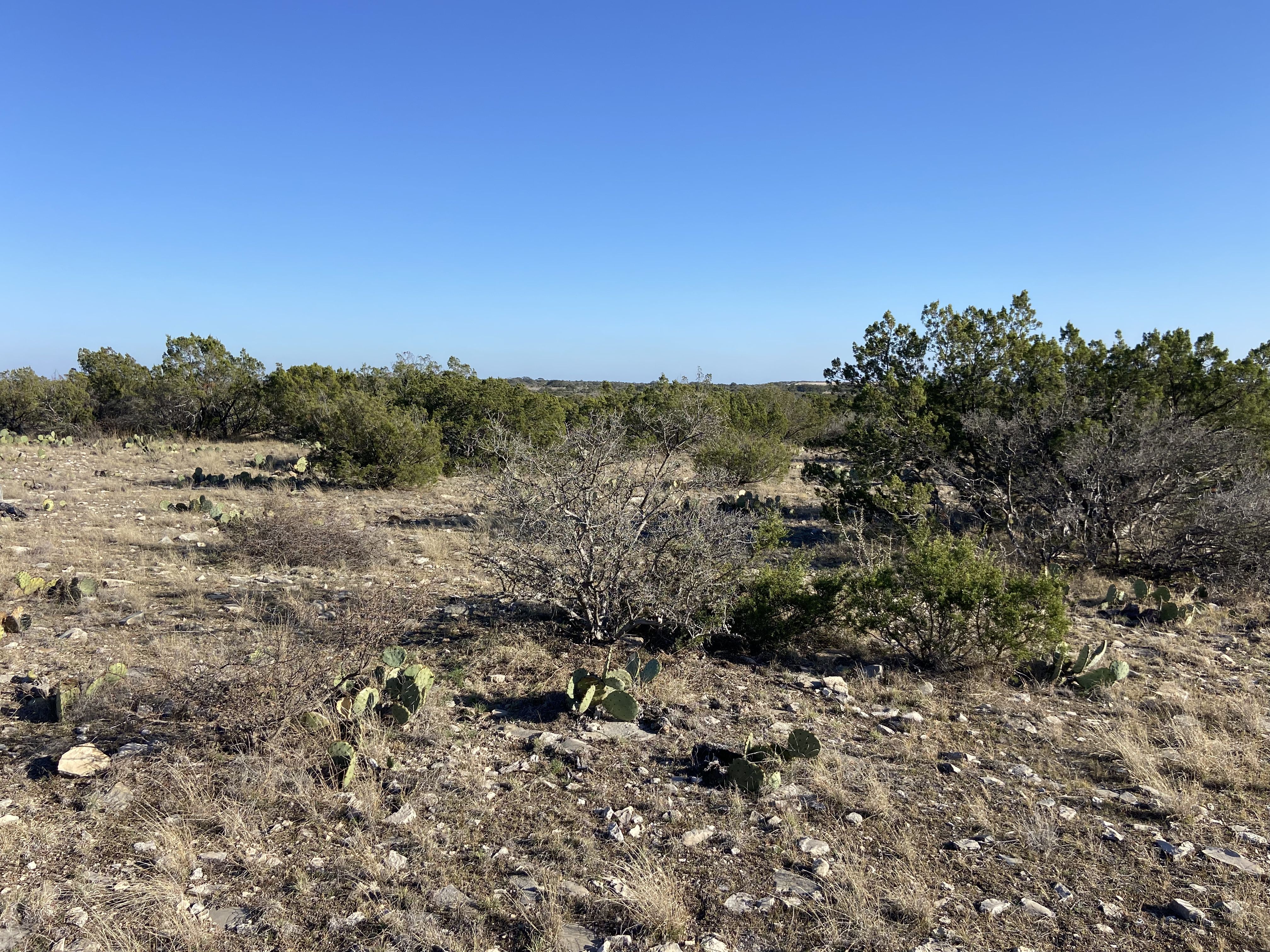 77.83 acres in Juno, TX, 76943 | Land.com