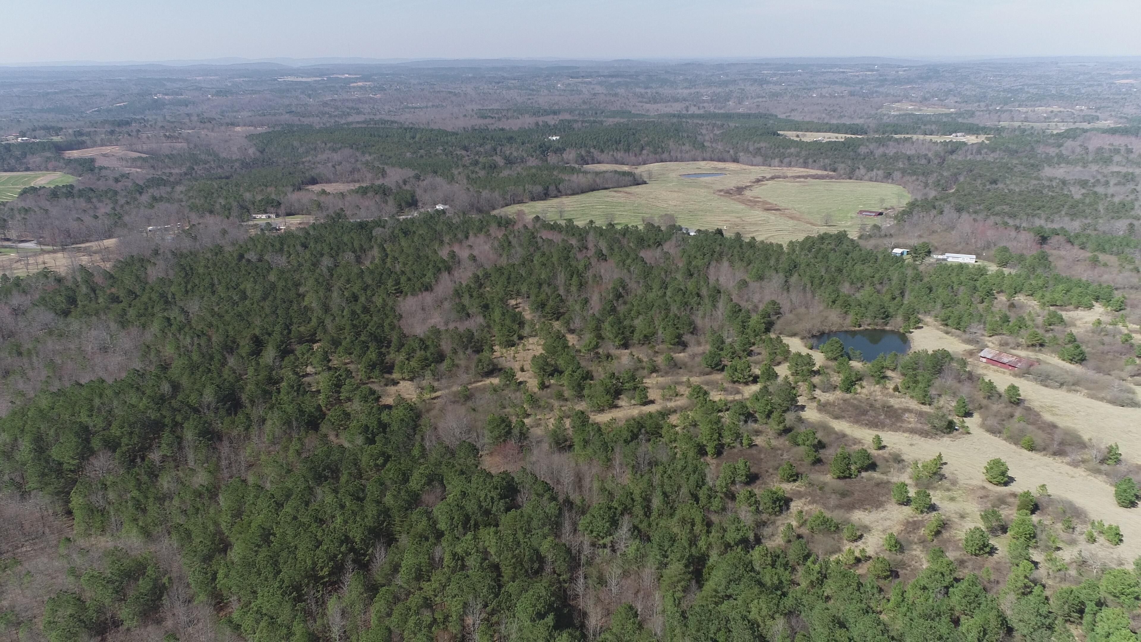 Jones Chapel Loop, Springville, AL 35146 | Land.com