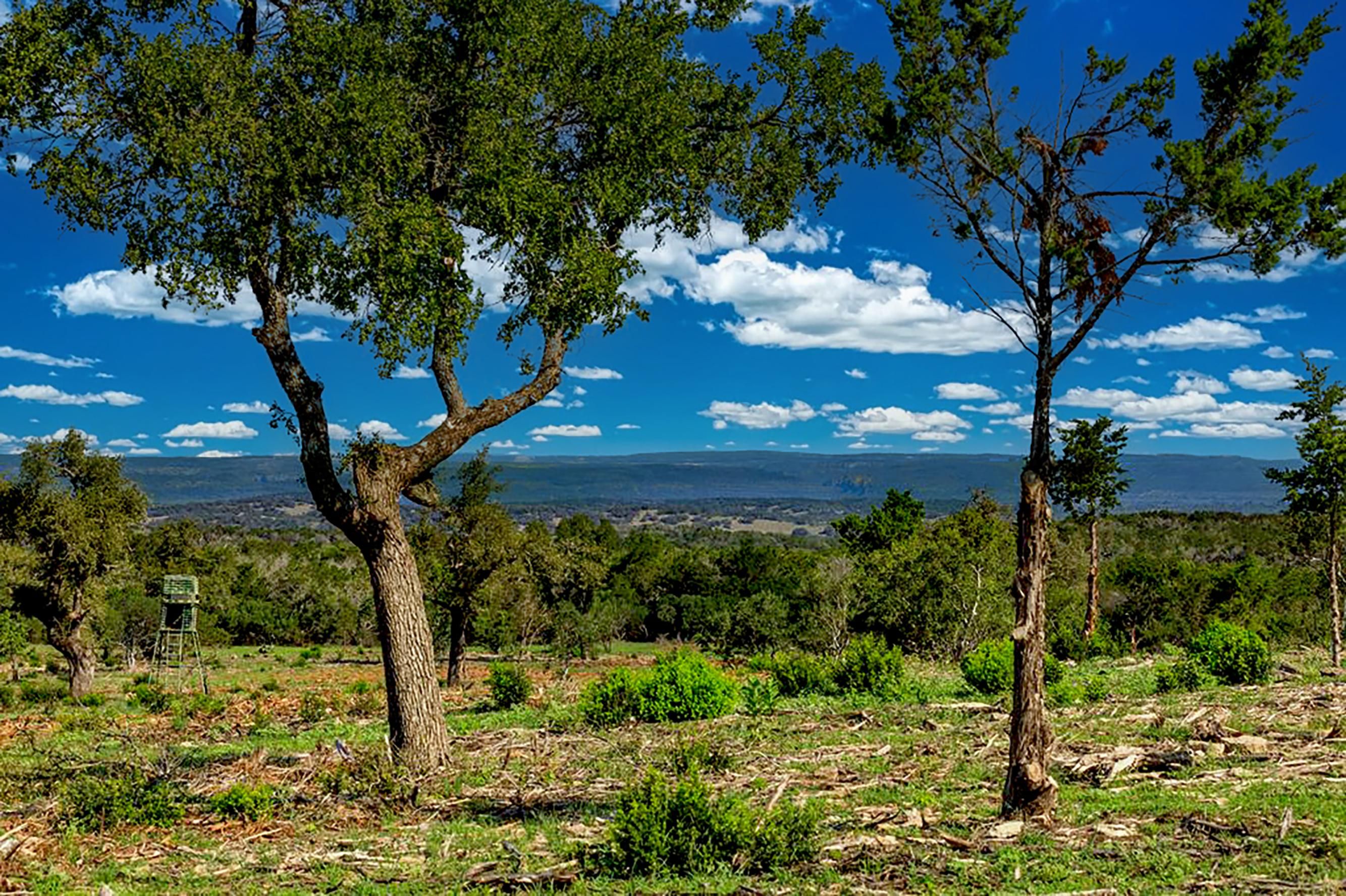 Comanche Creek Road, Round Mountain, TX 78663 | MLS: Comanche 84 Ranch ...