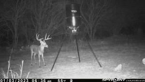 115 County Road 252, Three Rivers, TX 78119 | Land.com