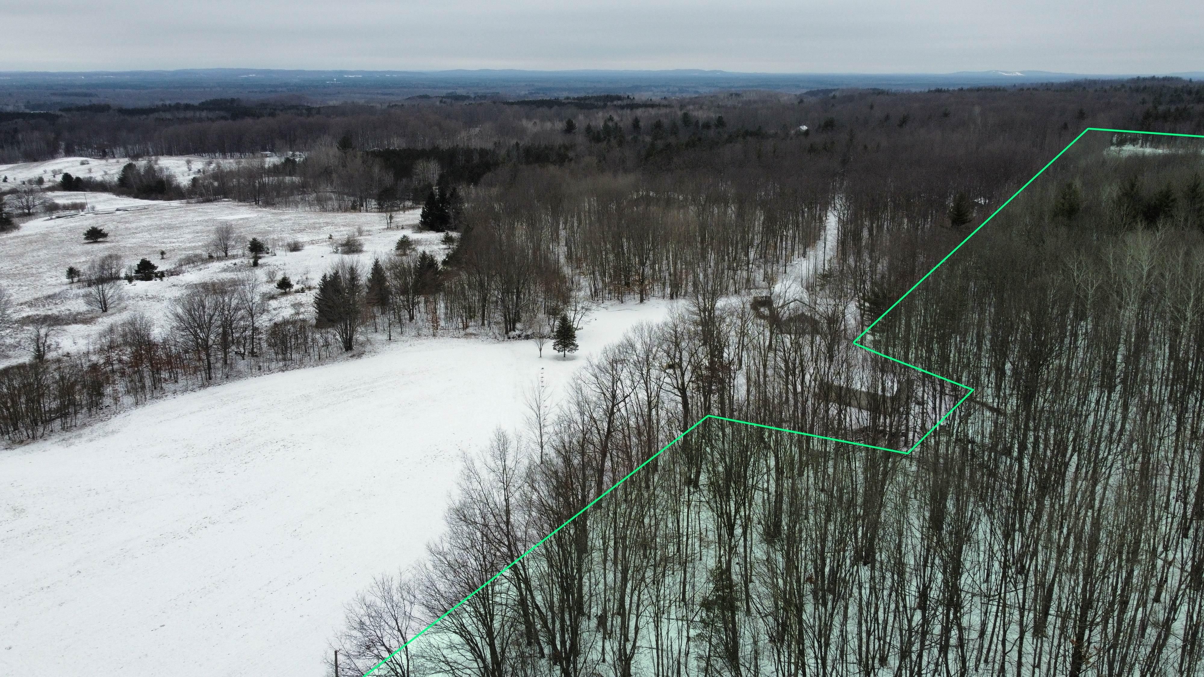 6813 Clements Rd, Brethren, MI 49619 | Land.com