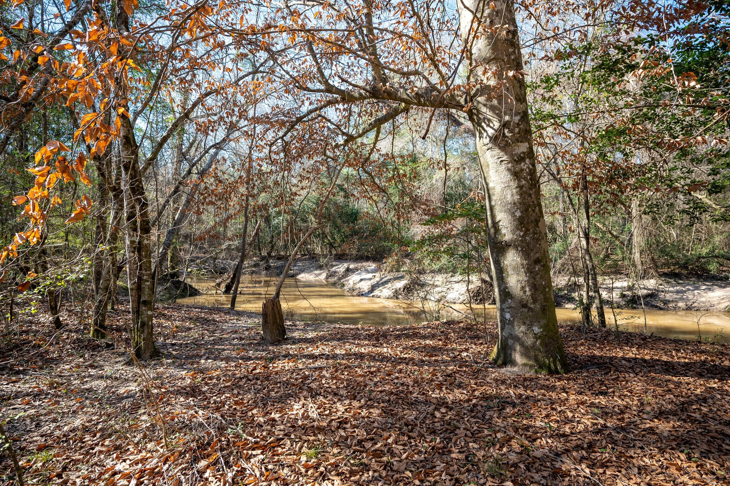 120 acres in Tyler County, Texas