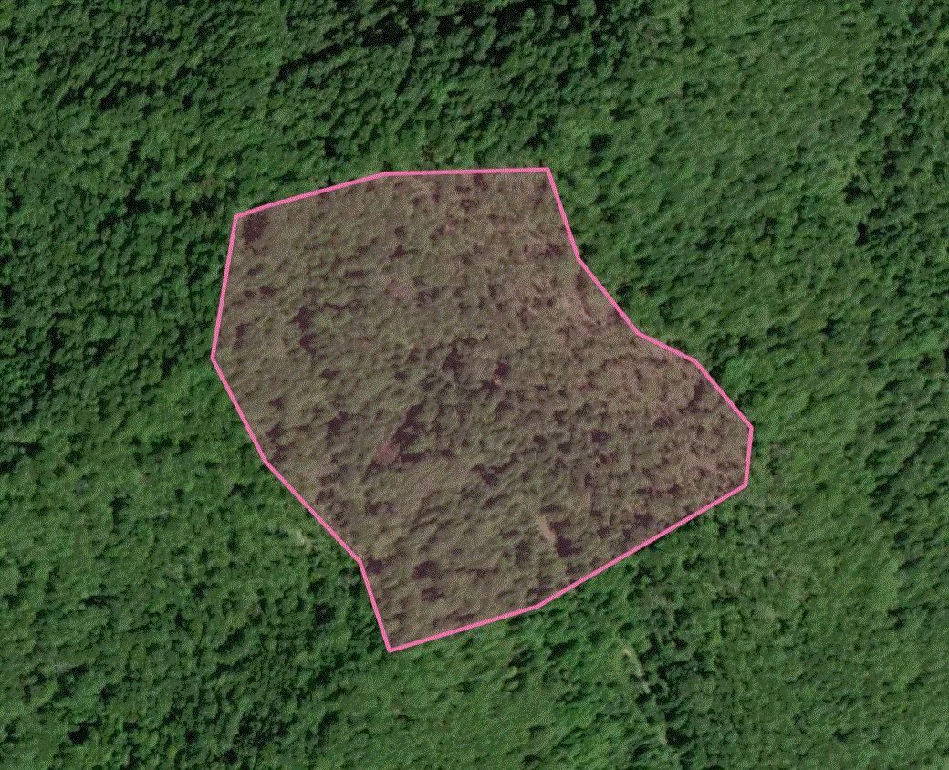 29.67 acres in Crum, WV, 25669 | Land.com