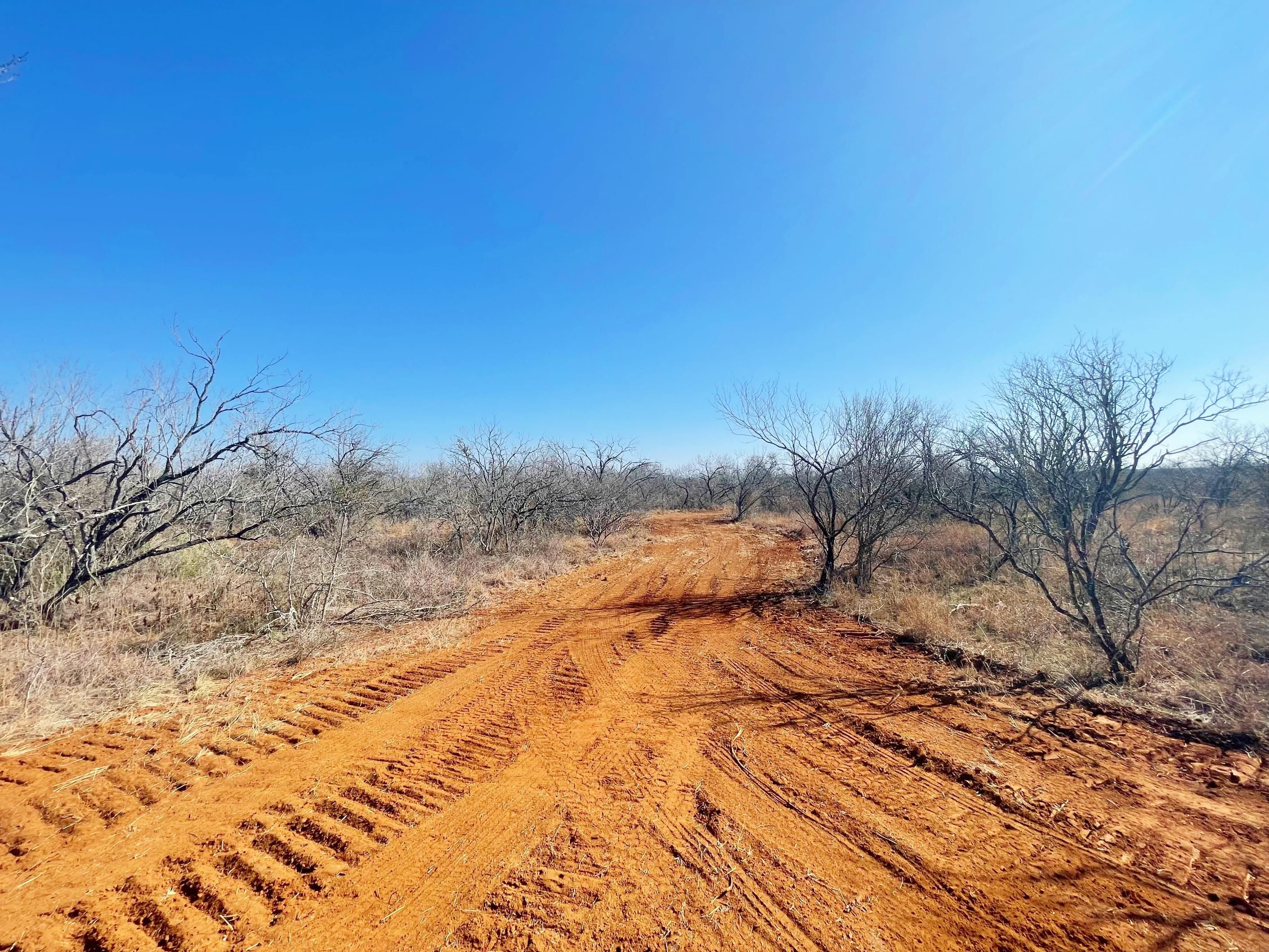 12 acres in Atascosa County, Texas