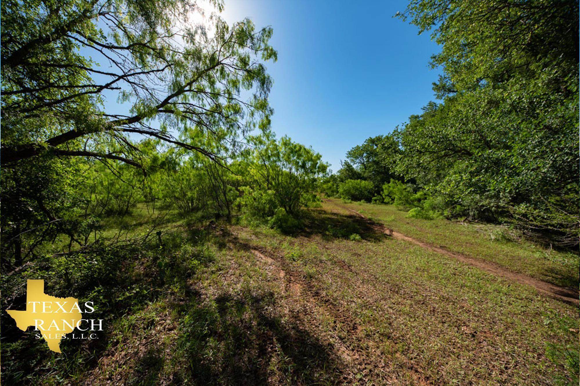 100 acres in Guadalupe County, Texas