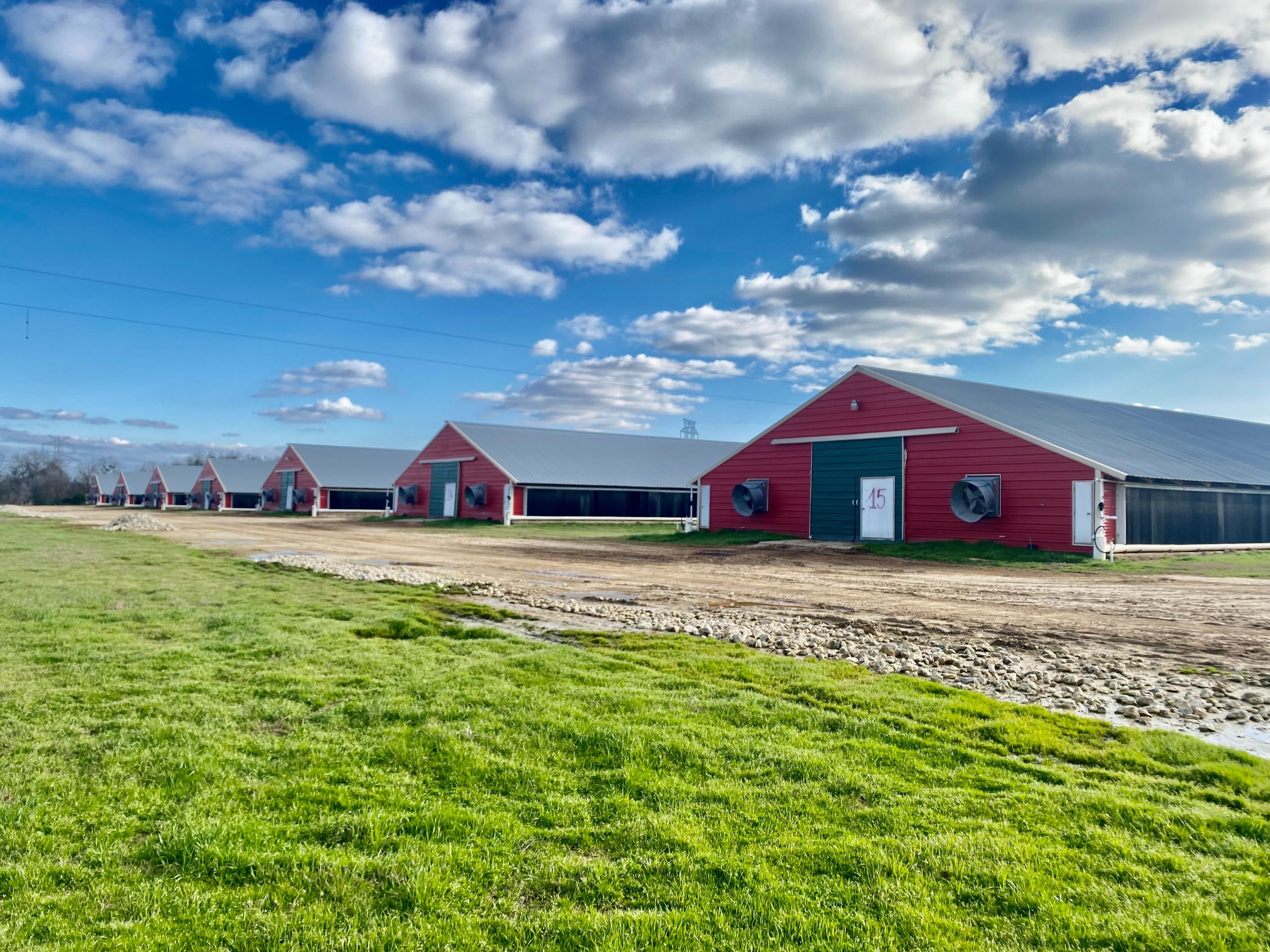 120 acres in Groesbeck, TX, 76642 | Land.com