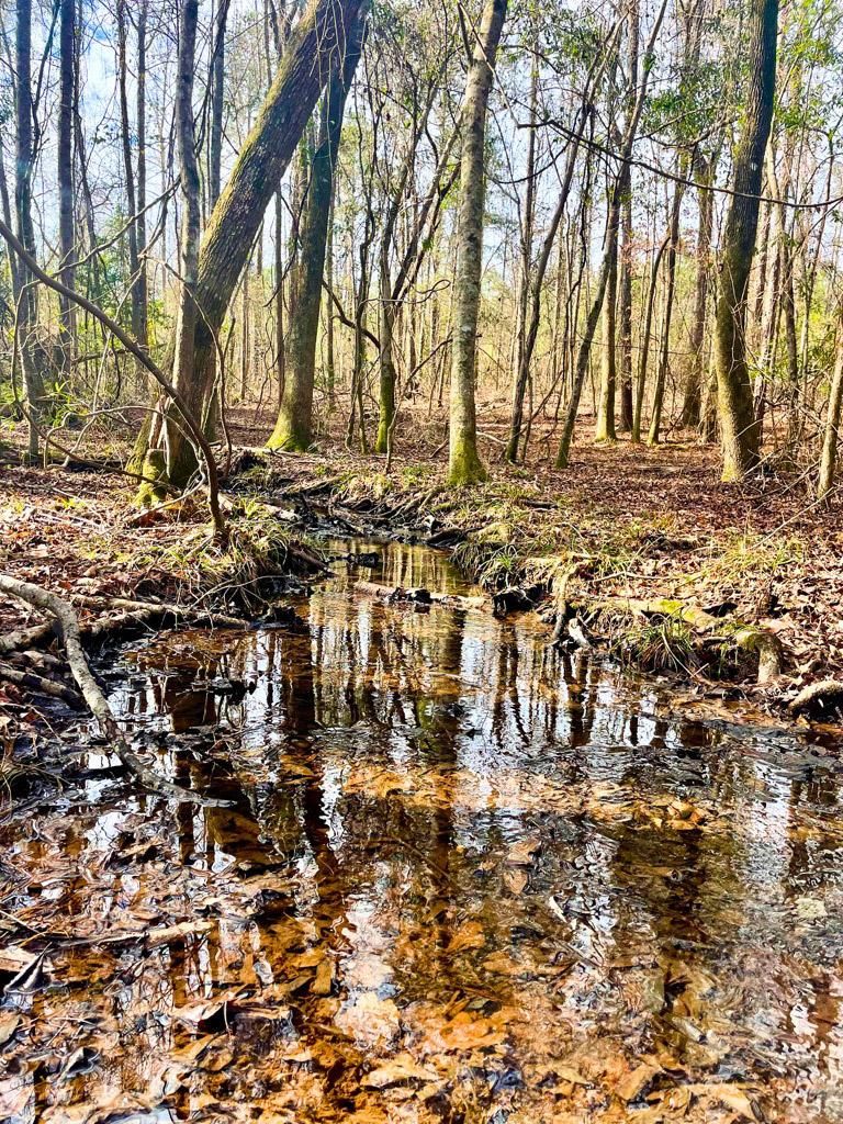 248 East Fall Line Freeway, Butler, GA 31006 | Land.com