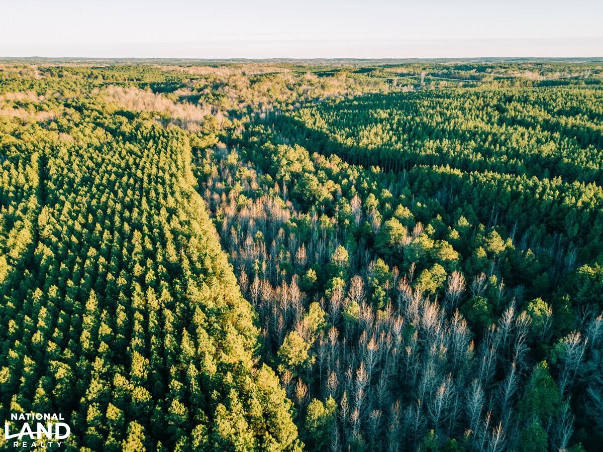 110 acres in Attala County, Mississippi