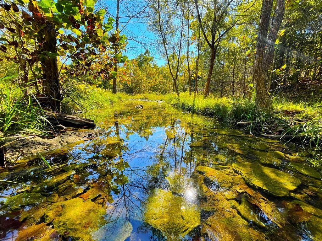 110 acres in Ozark County, Missouri