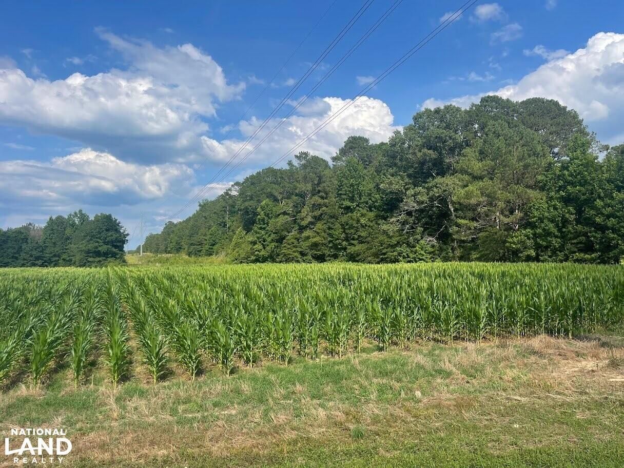 7658 Hwy 429, Sallis, MS 39160 | Land.com