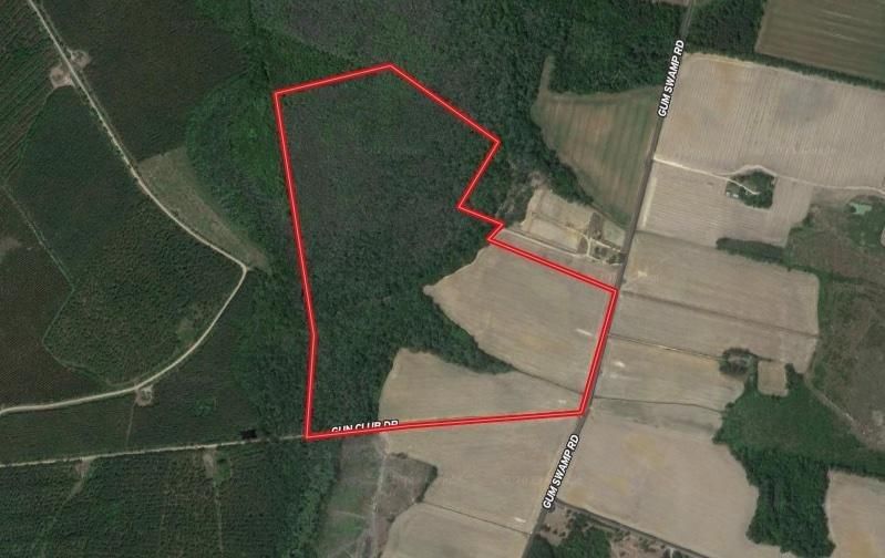 125 acres in Dillon County, South Carolina