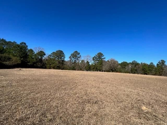3 acres in Walthall County, Mississippi