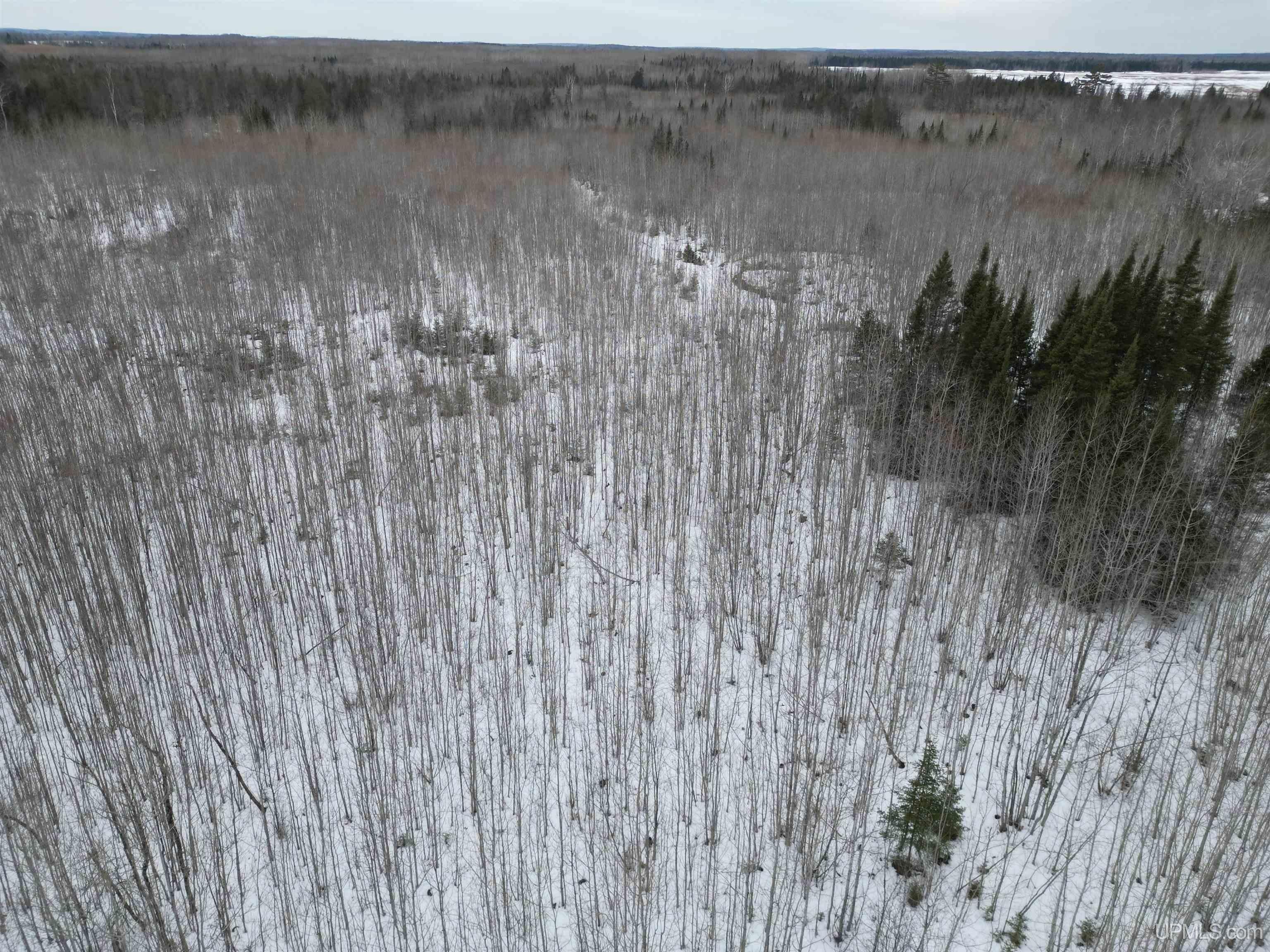 75 acres in Delta County, Michigan