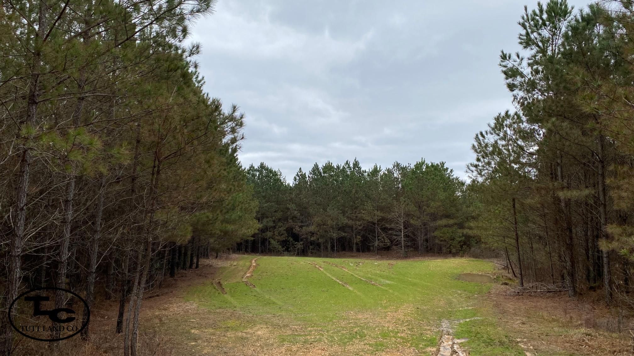 20 acres in Guin, AL, 35563 | Land.com