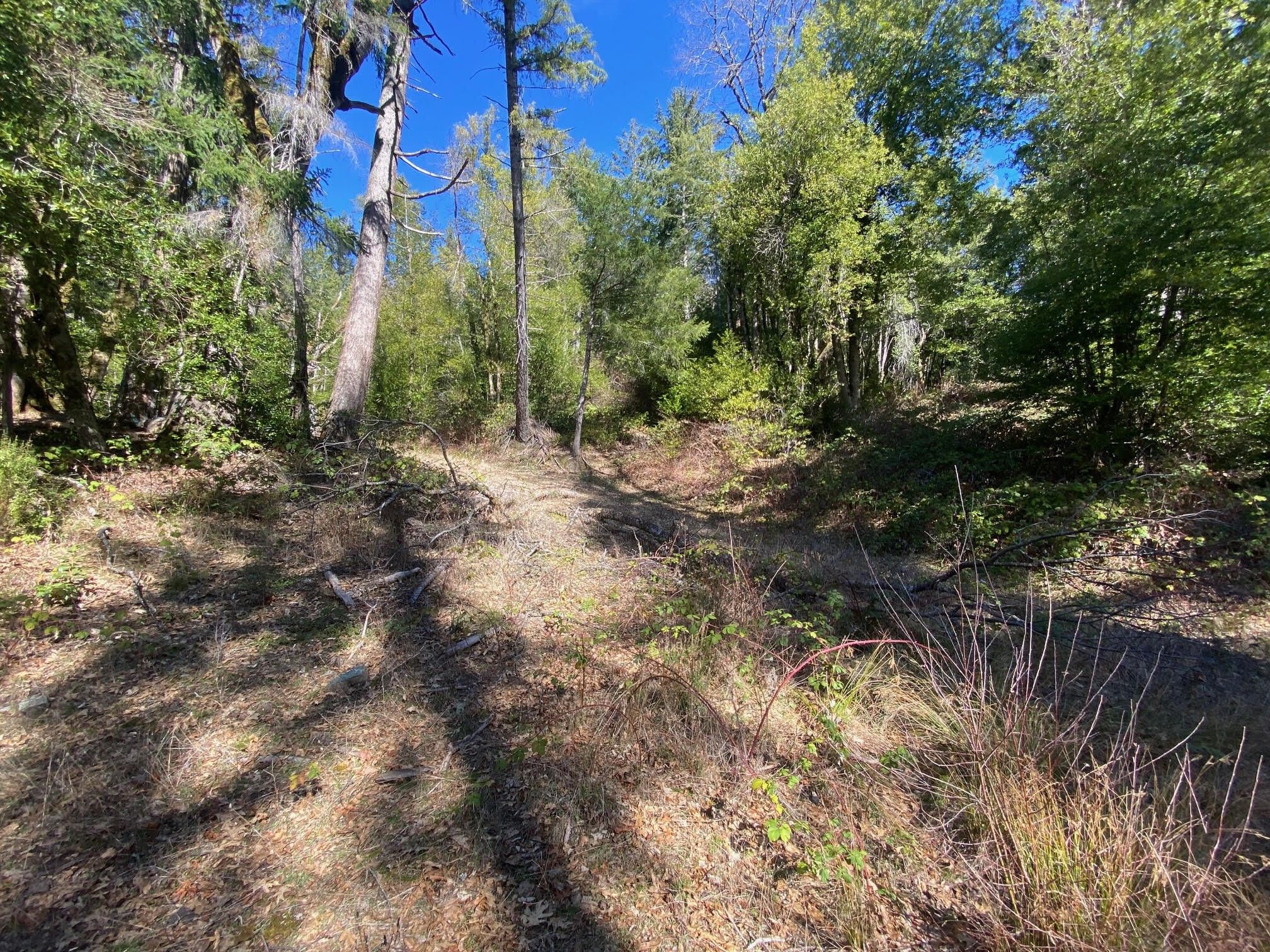 200 acres in Humboldt County, California