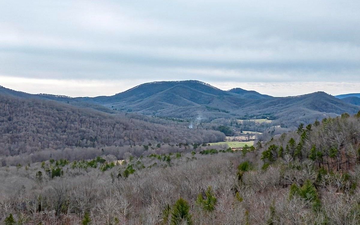 200 acres in Fannin County, Georgia