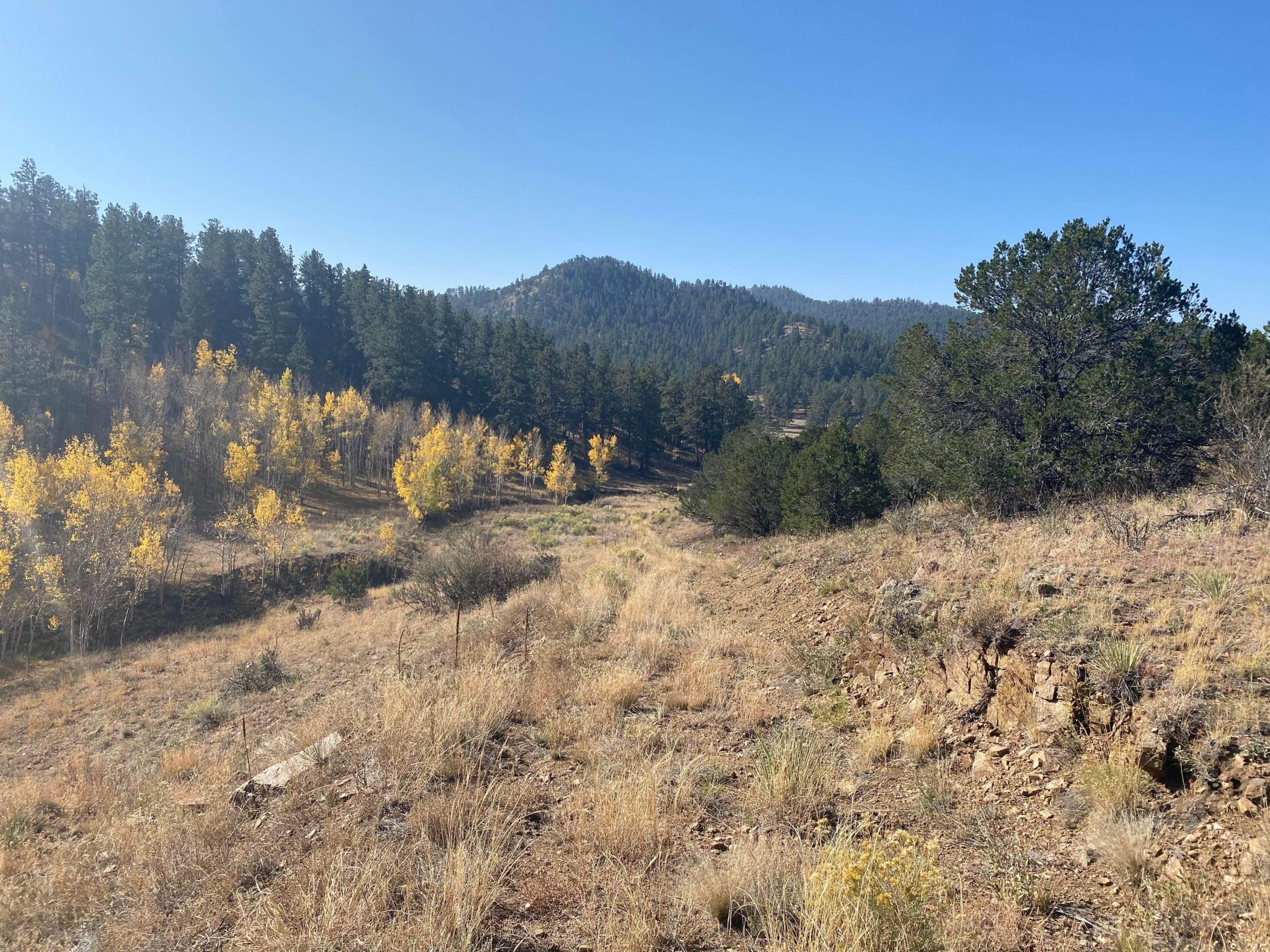 57 acres in Custer County, Colorado