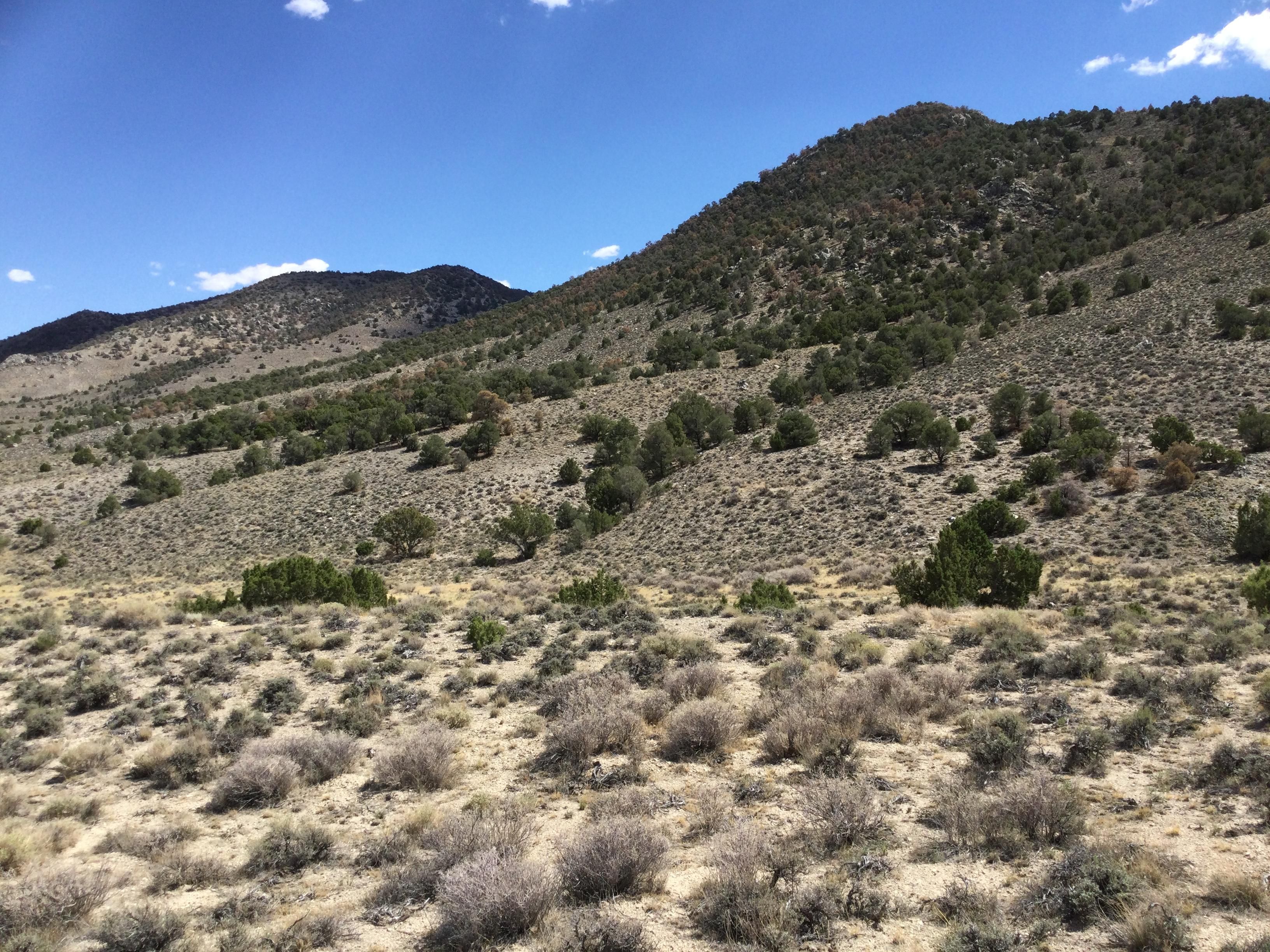 30 acres in Elko County, Nevada