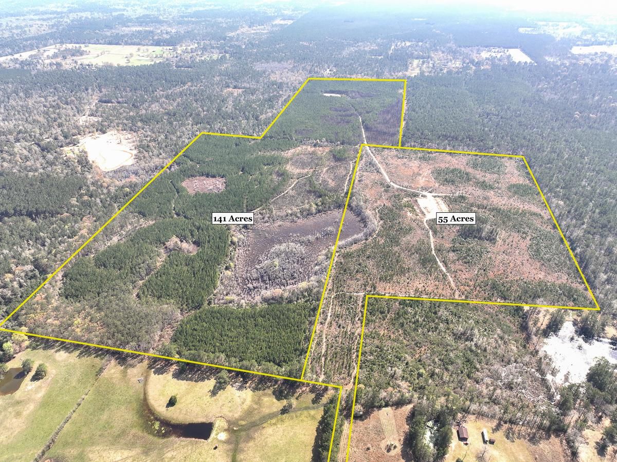 196 acres in Tyler County, Texas