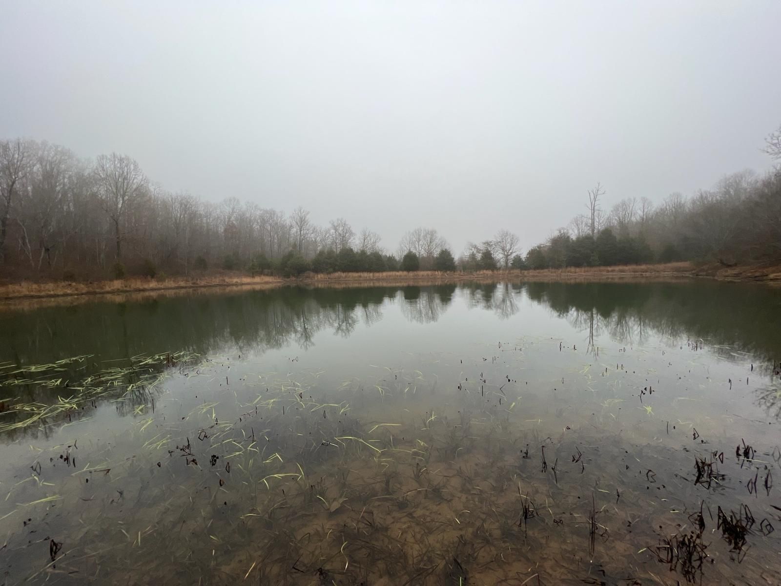 Ben Hur, Arkansas 72856, Ben Hur, AR 72856 | Land.com