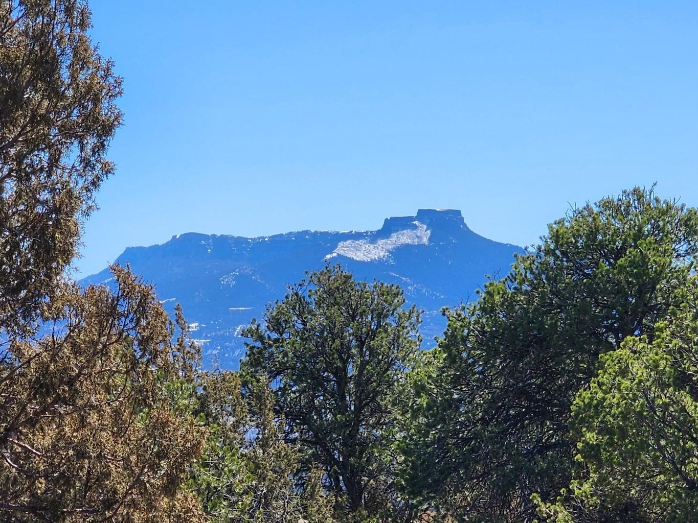 35 acres in Las Animas County, Colorado