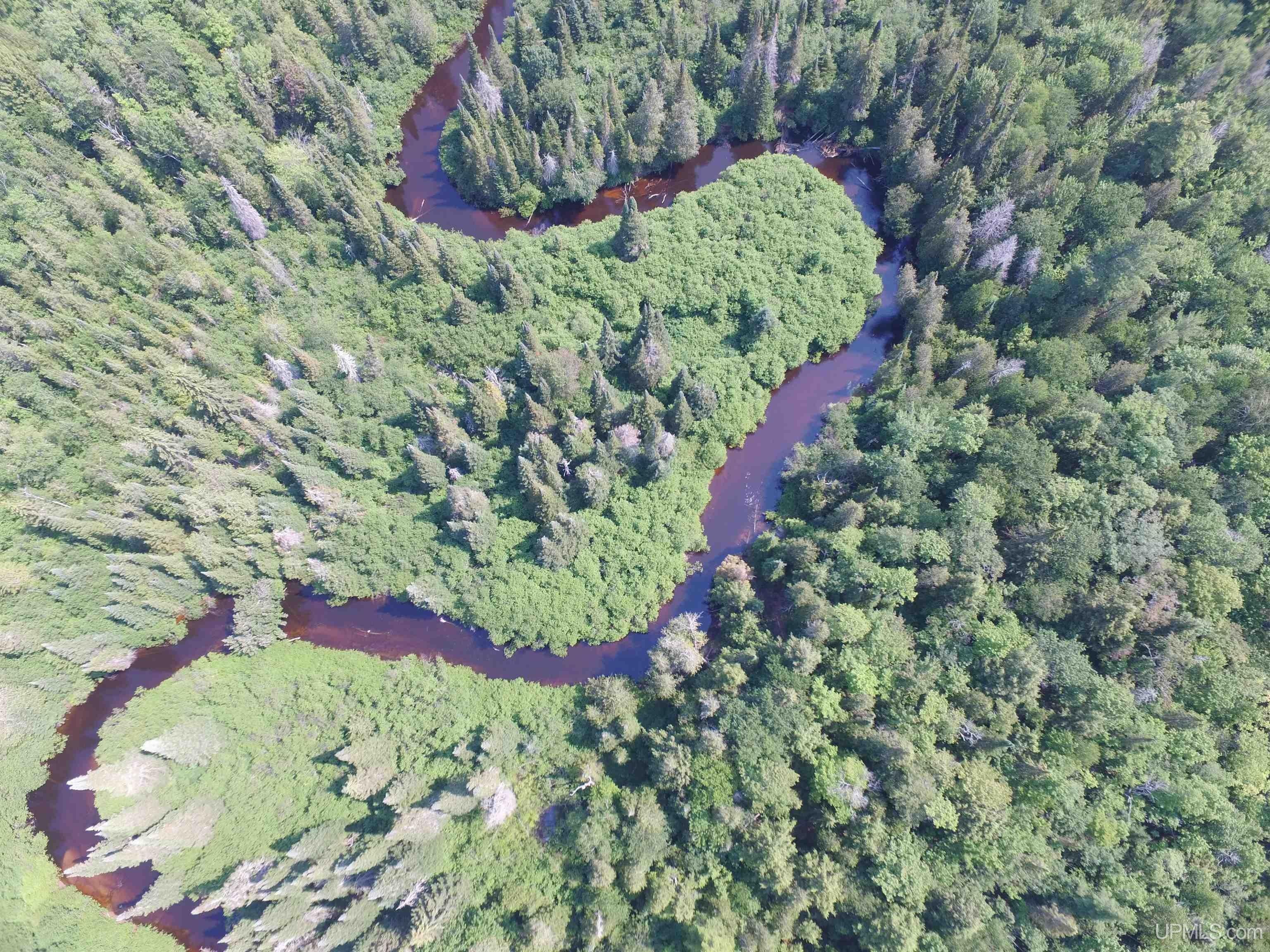 86 acres in Luce County, Michigan