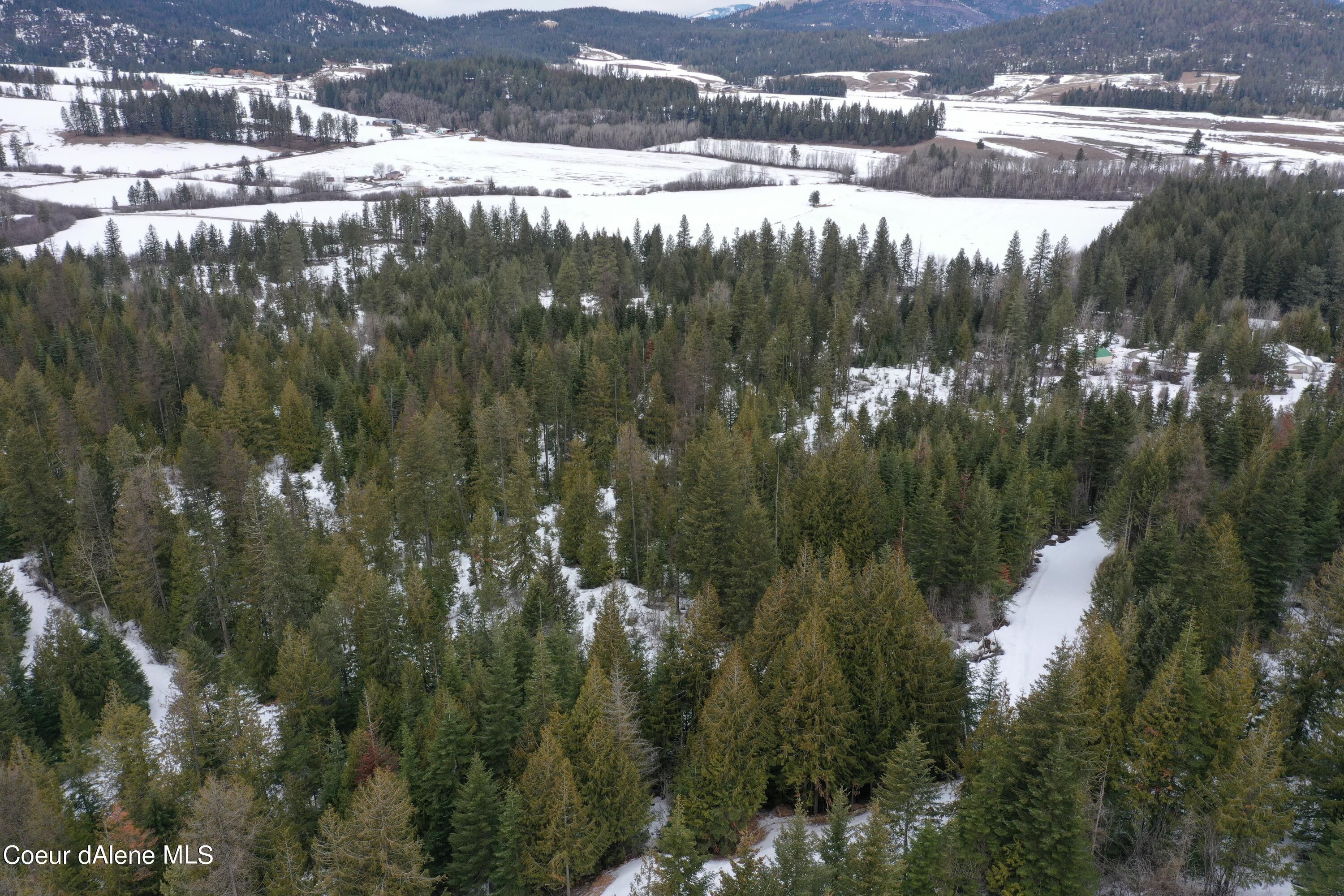 10 acres in Benewah County, Idaho