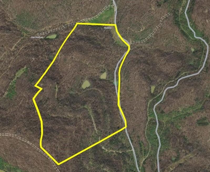 103 acres in Campbell County, Tennessee