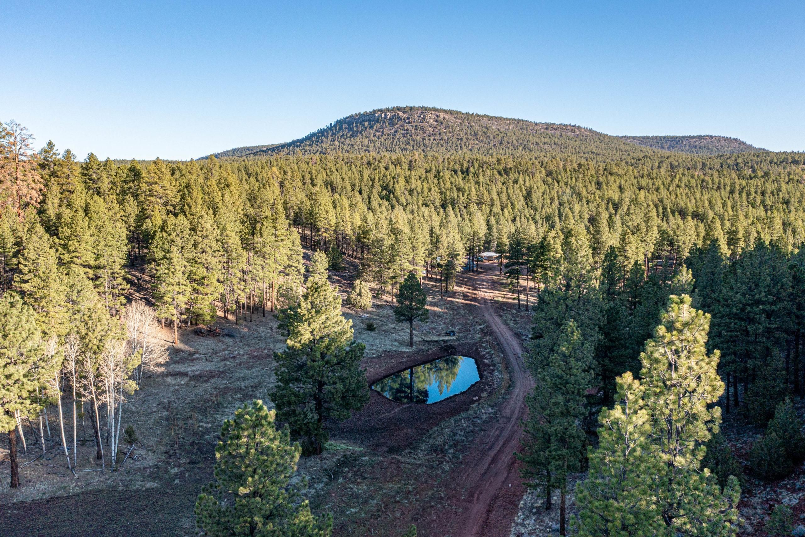 190 acres in Cibola County, New Mexico