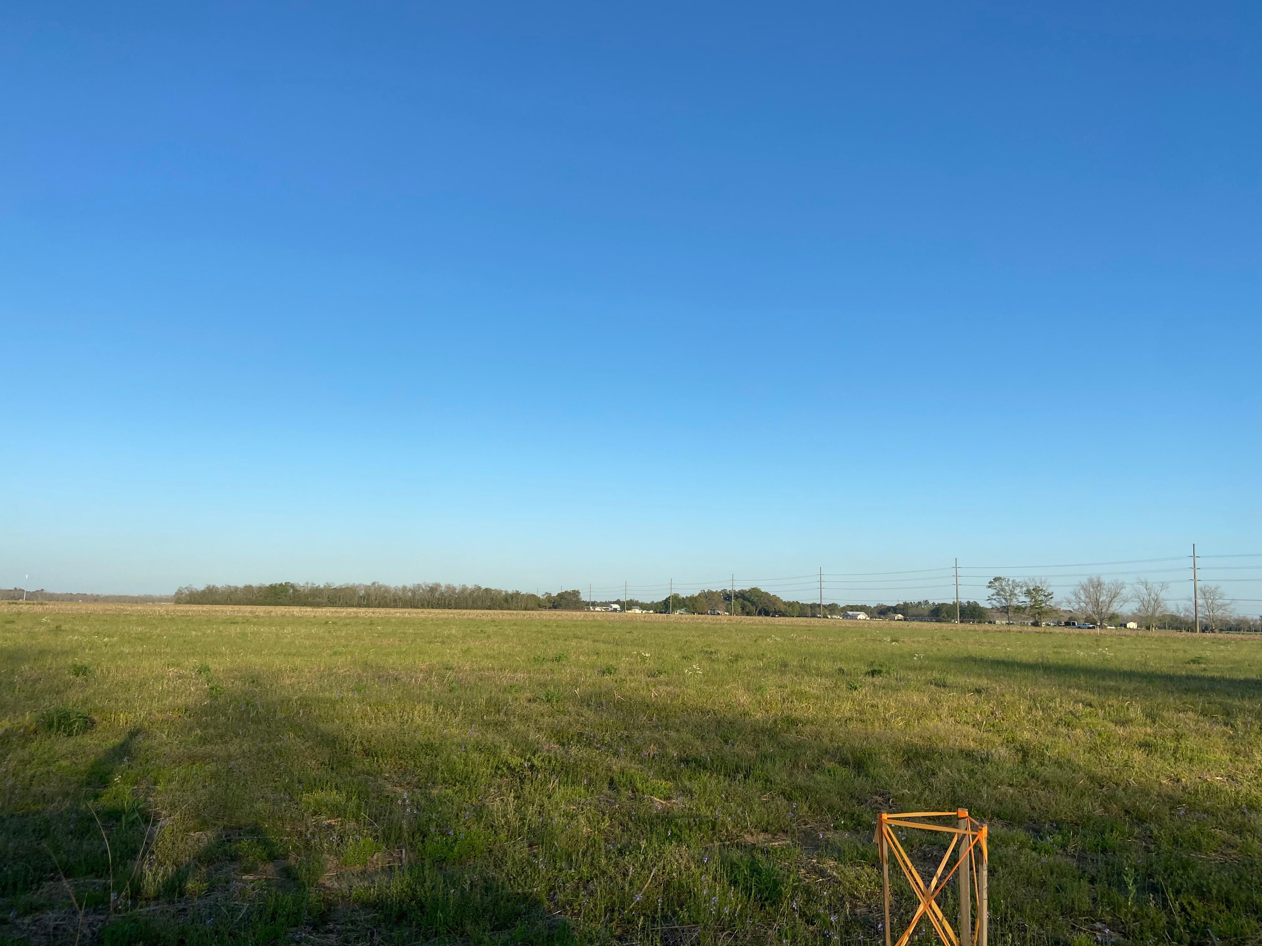 County Road 26, Foley, AL 36535 | Land.com