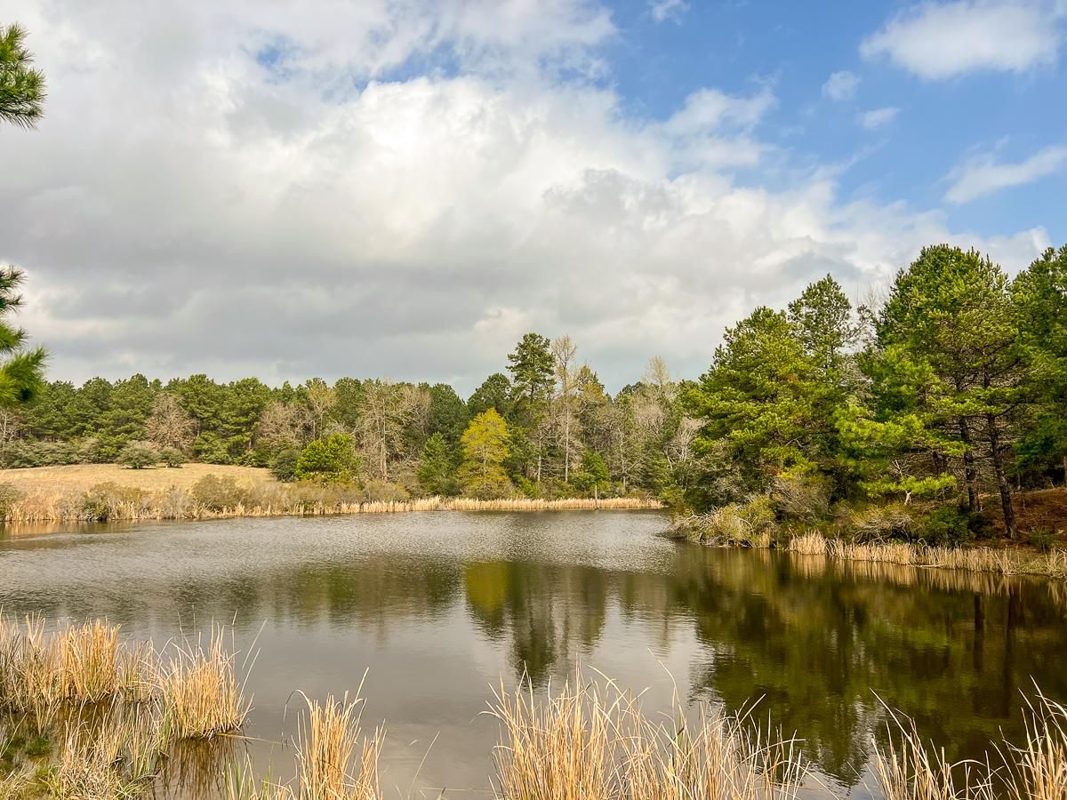 Highway 287, Grapeland, TX 75844 | Land.com