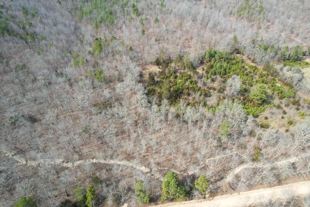 8 acres in Oates, MO, 63625 | Land.com