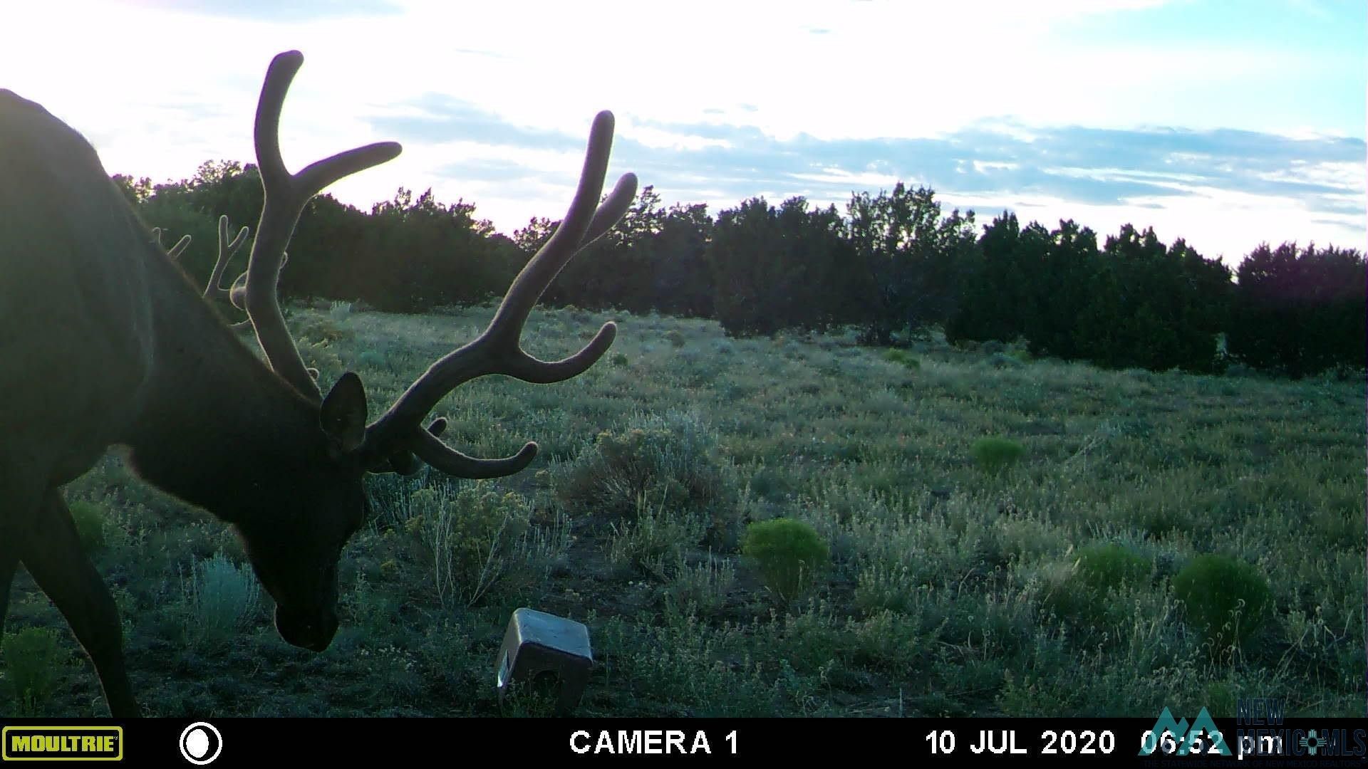 645 acres in Cibola County, New Mexico