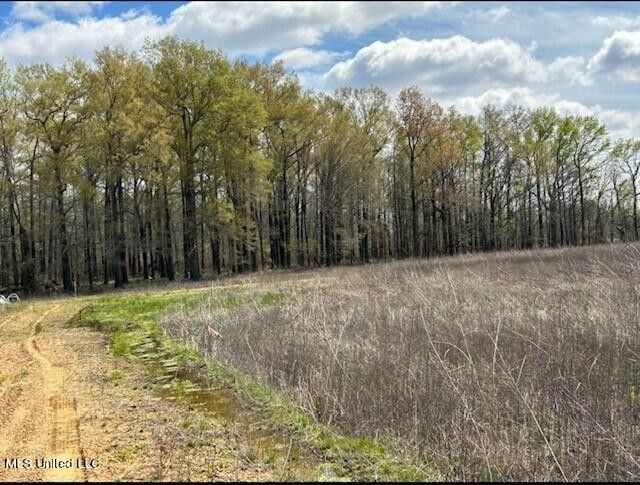 5 acres in Yazoo County, Mississippi