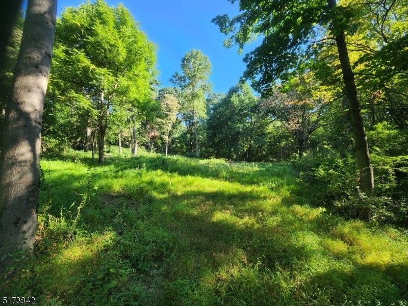 15 acres in Warren County, New Jersey