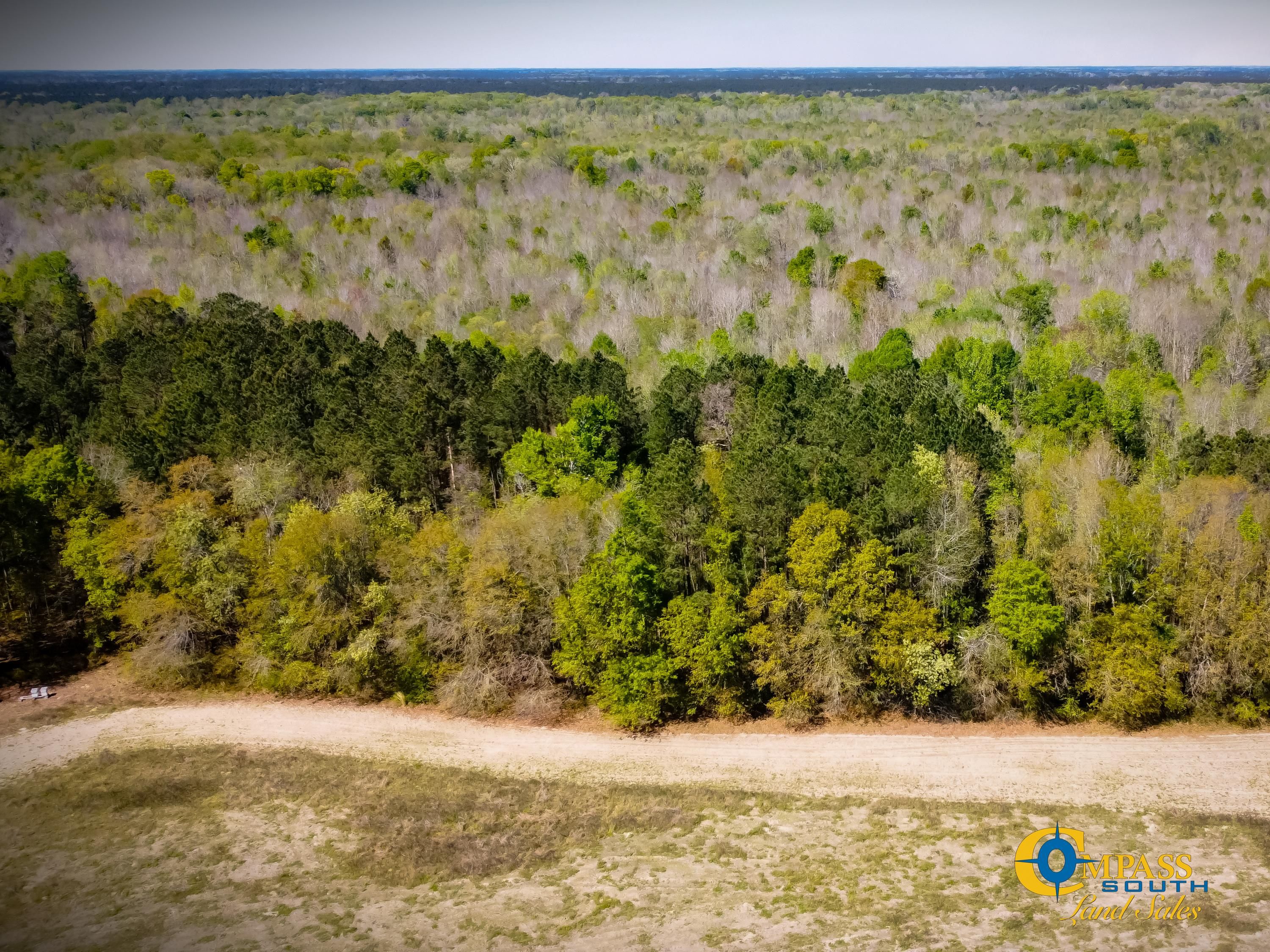 Low Country Highway, Ruffin, SC 29488 | Land.com