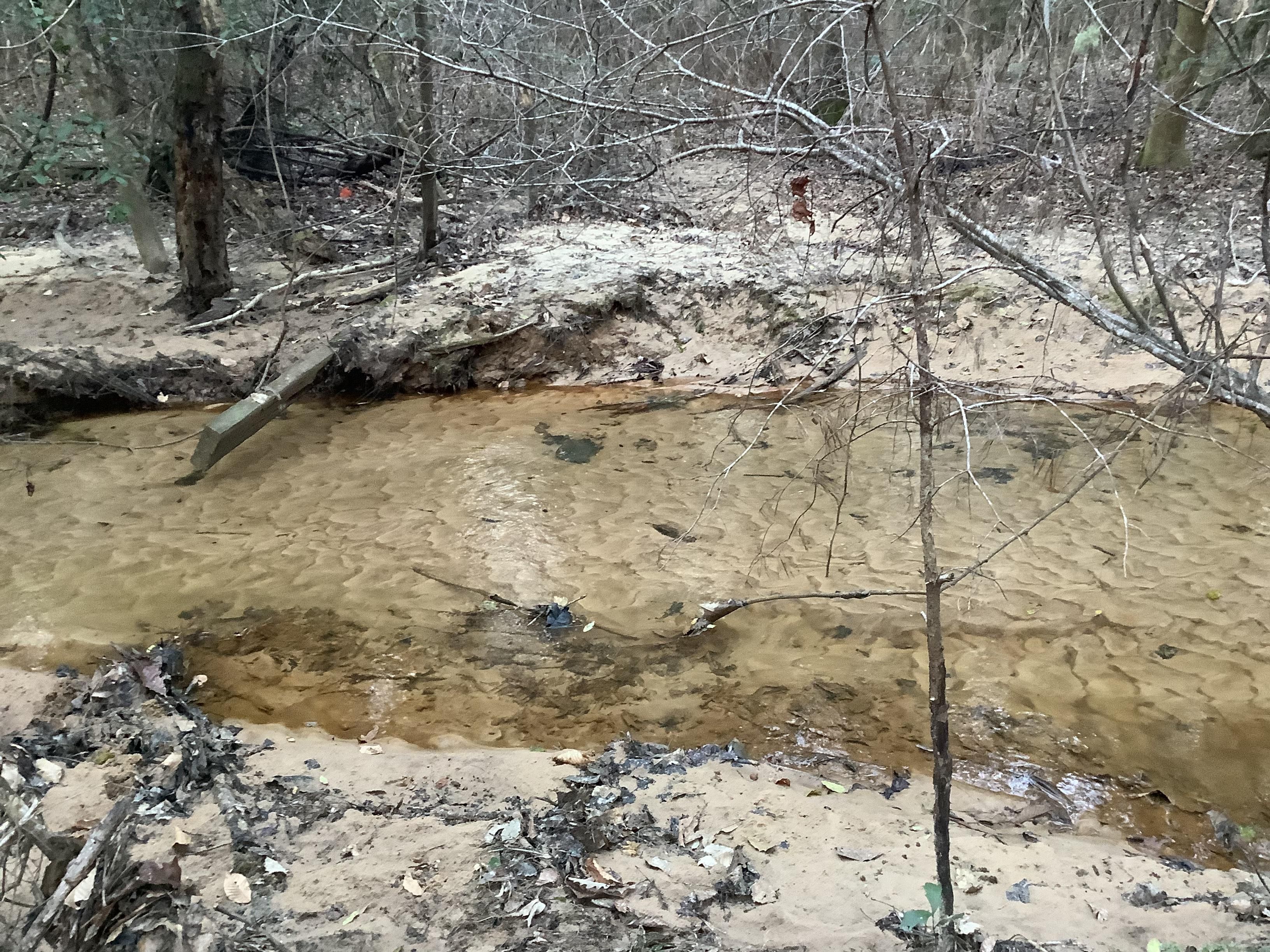 16.59 acres in Conecuh County, Alabama