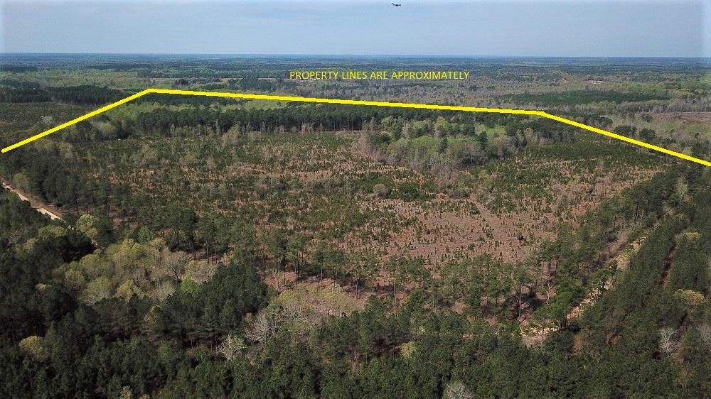 256 acres in Orangeburg County, South Carolina