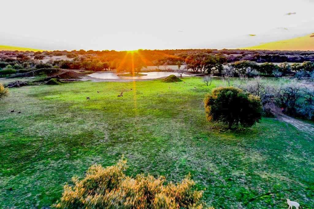 40 acres in Bee County, Texas