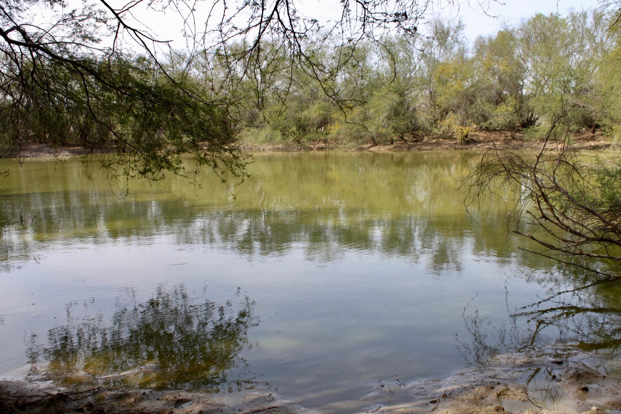 180 acres in Rio Grande City, TX, 78582 | Land.com