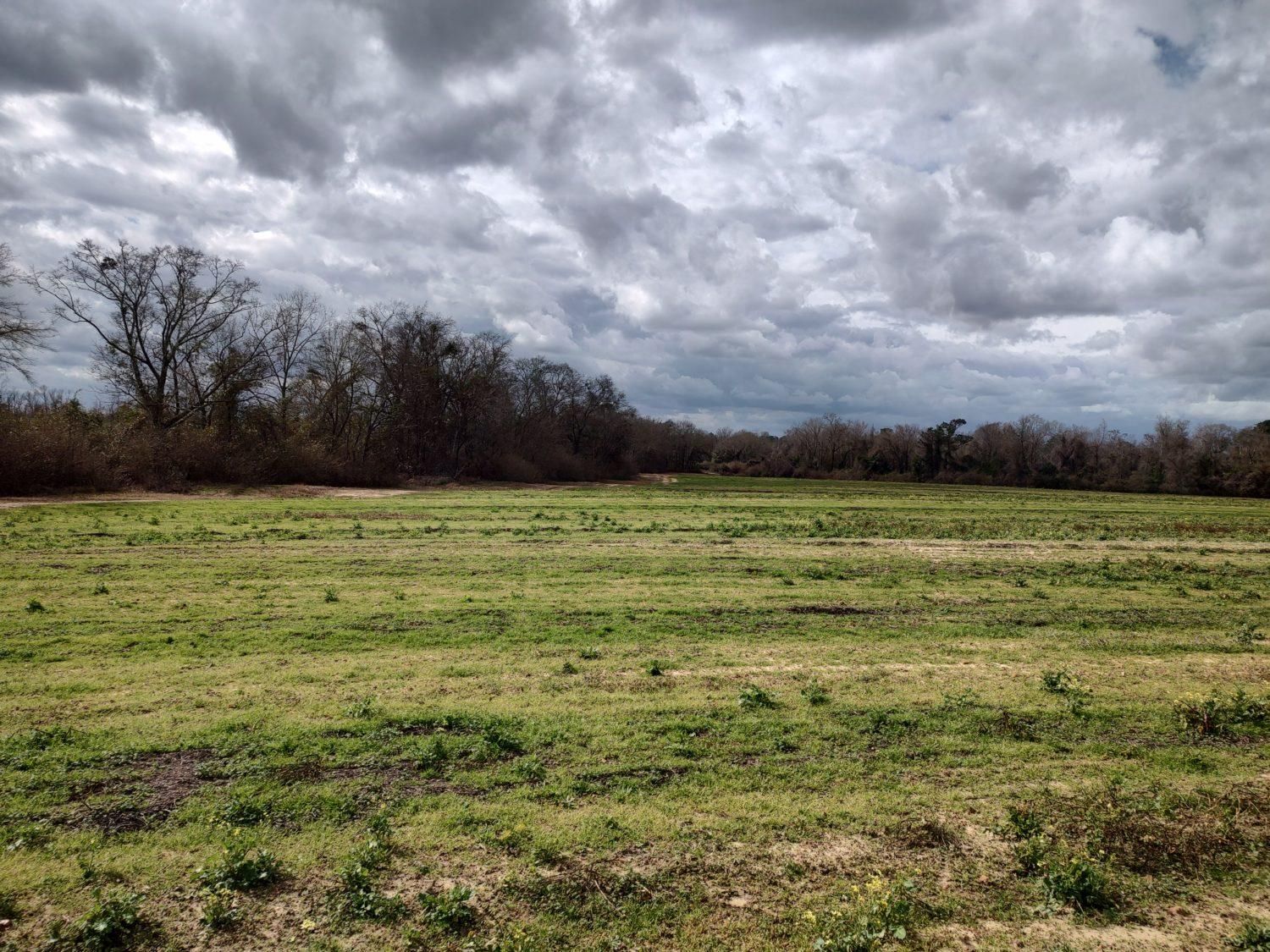 County Road 33, Ashford, AL 36319 | Land.com