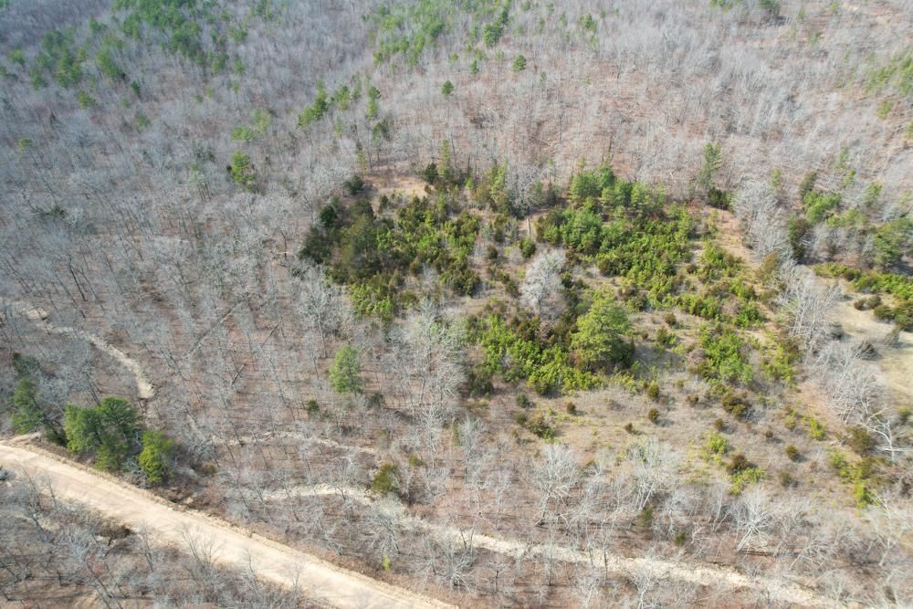 0000 County Road 838, Oates, MO 63625 | MLS: Reynolds 8 | Land.com