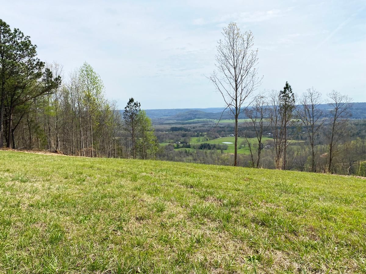 Latham Rd, Somerville, AL 35670 | Land.com