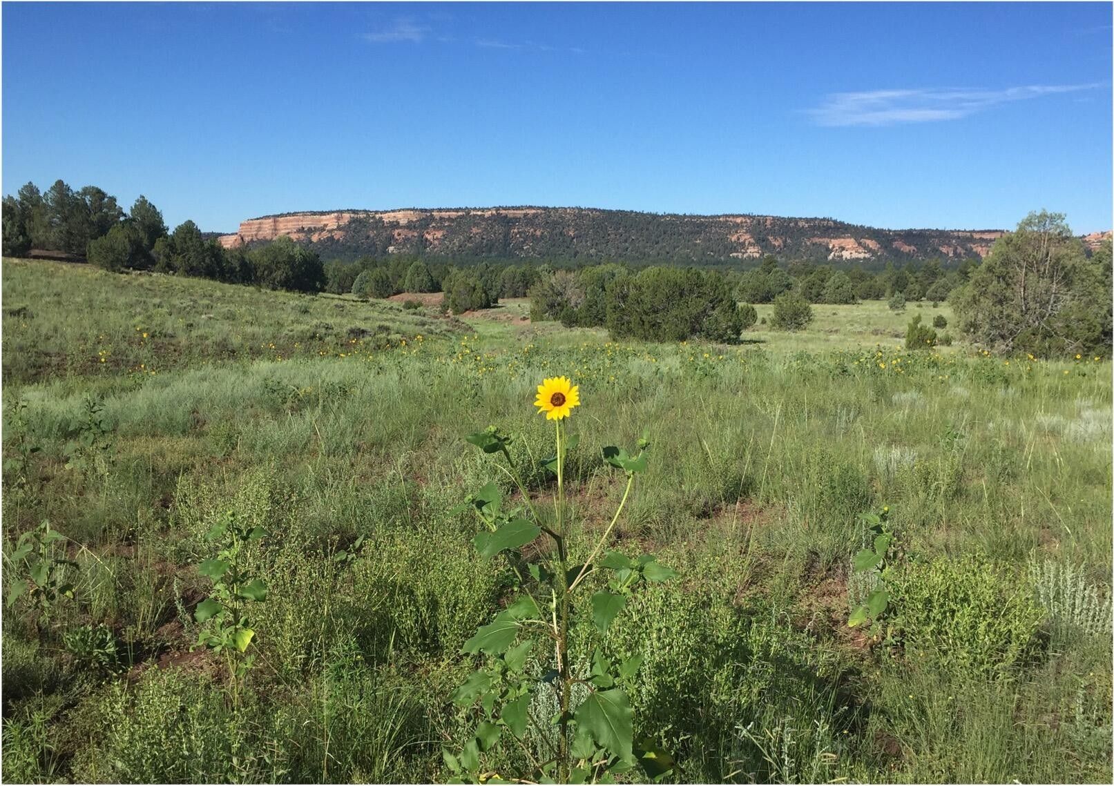 5.09 acres in Cibola County, New Mexico