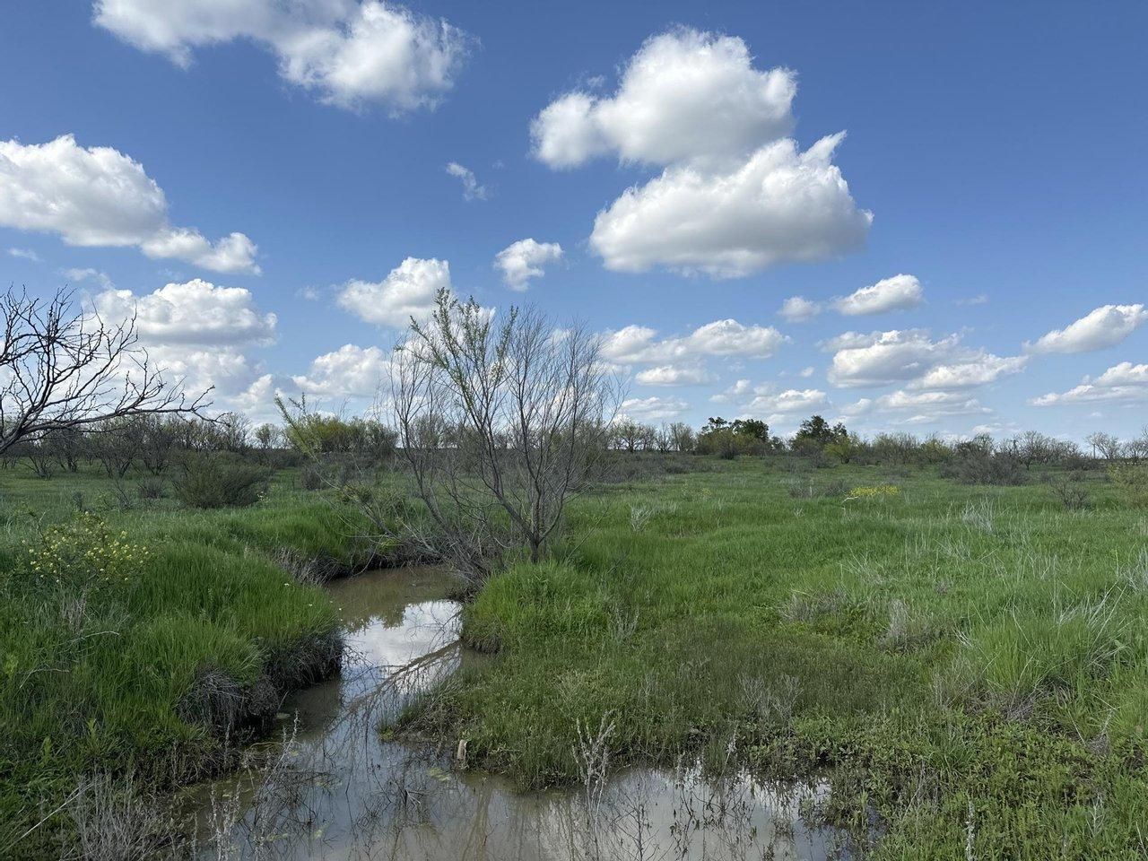59 acres in Callahan County, Texas