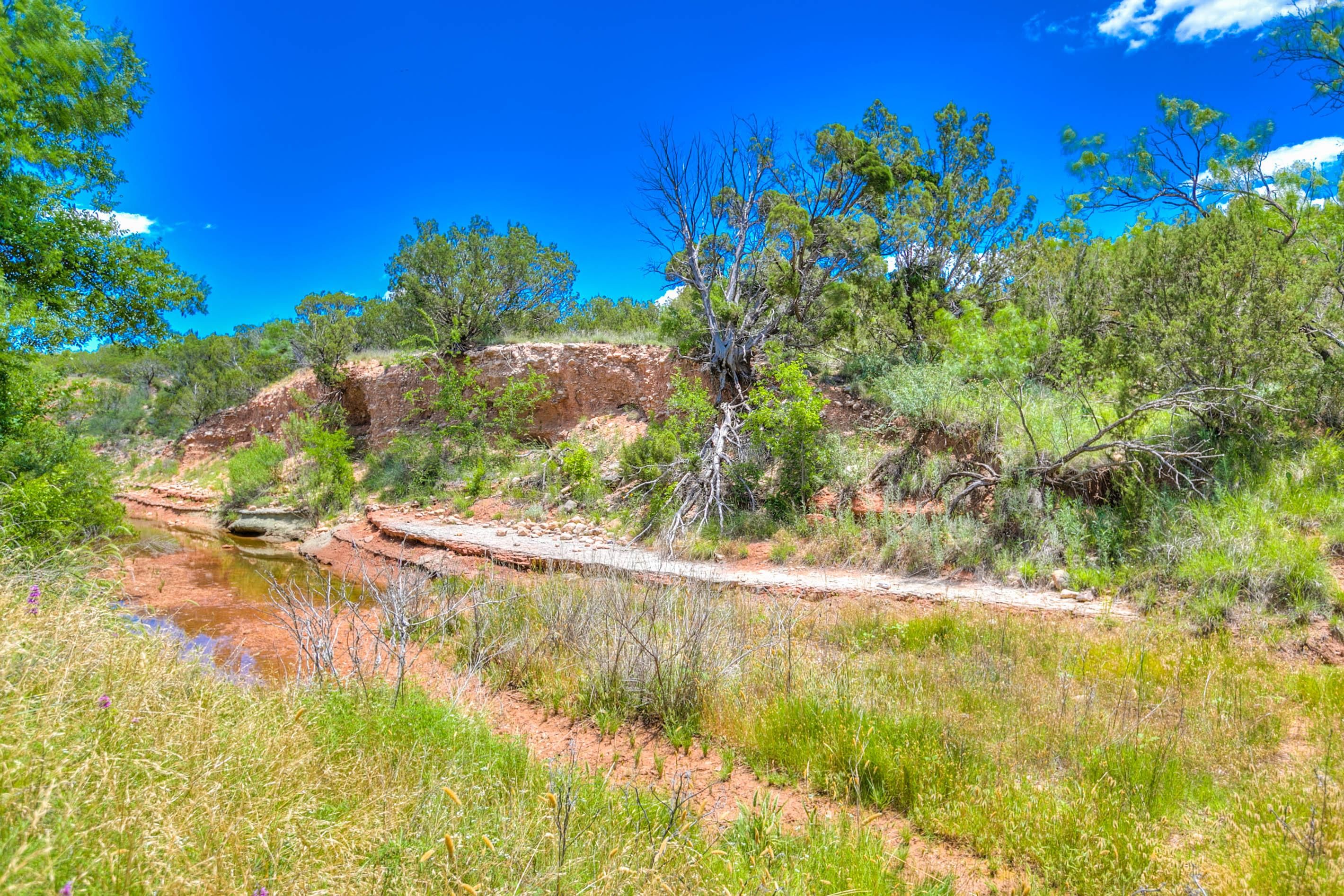 645.18 acres in Coke County, Texas