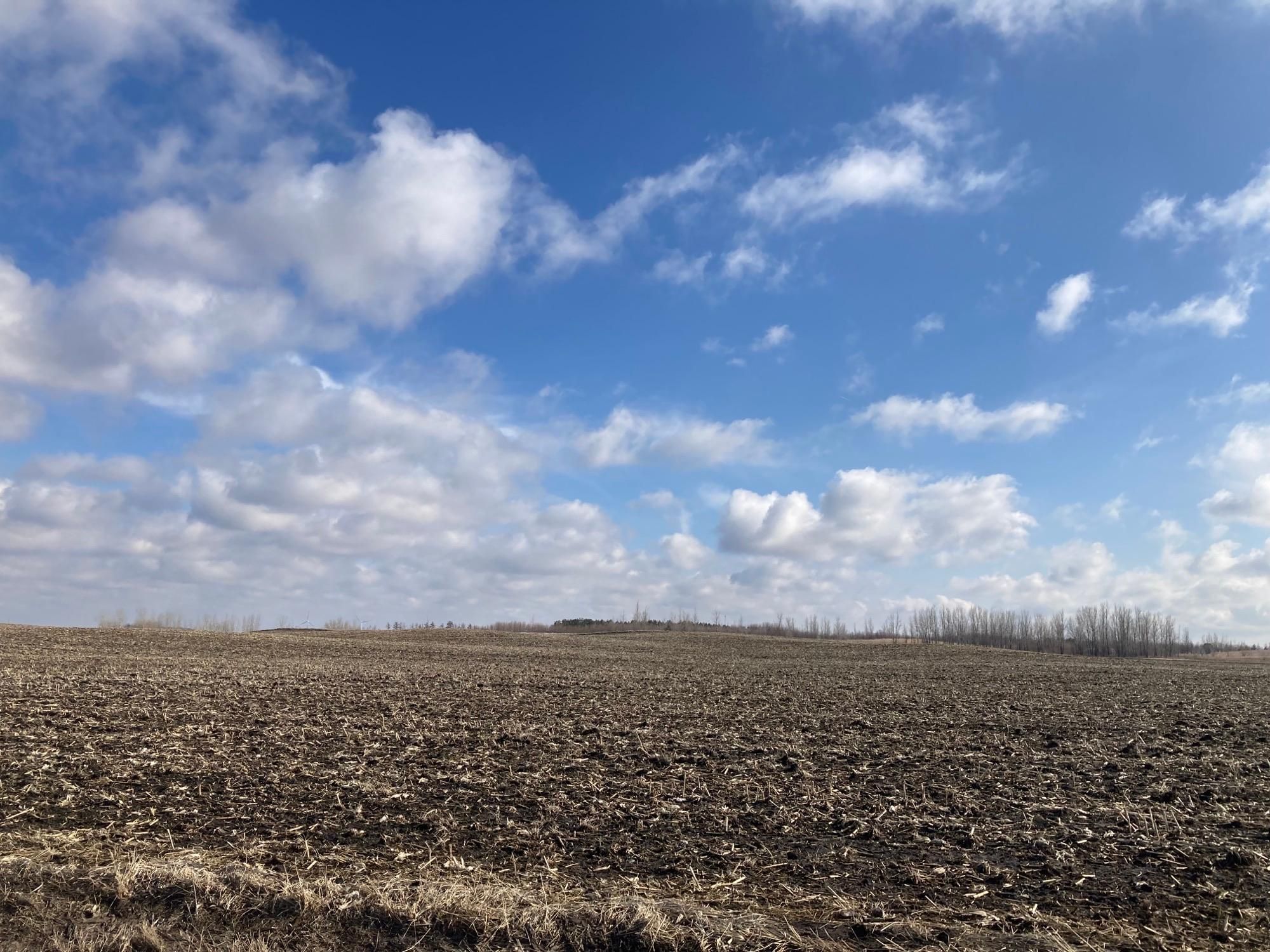 80 acres in Thompson, IA, 50478 | Land.com